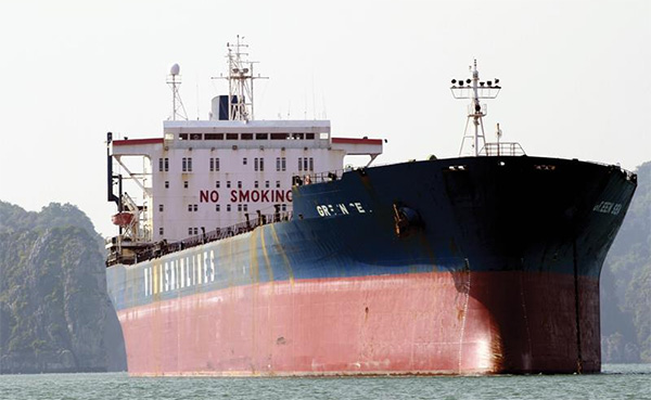 Vinalines proposes to sell infamous Lash Song Giang fleet
